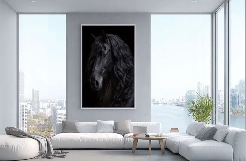 Temná elegance - obraz - Černý kůň v luxusním portrétu 57 - 70 x 100 cm - 1 149 Kč