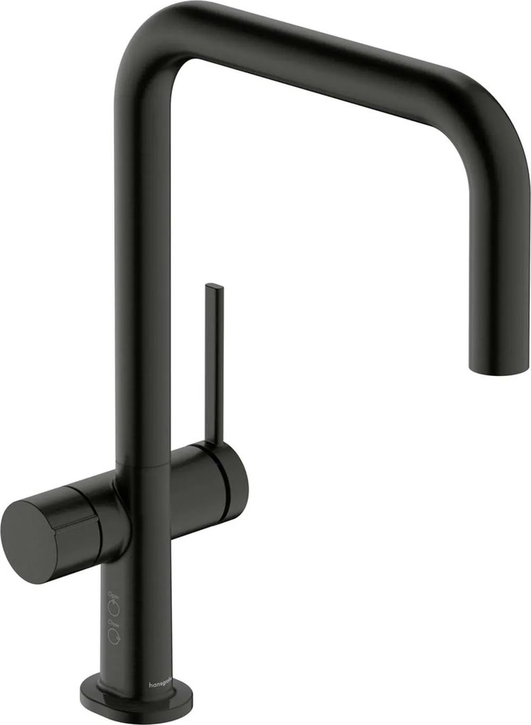 Hansgrohe Talis M54 - Dřezová baterie, s uzavíracím ventilem pro spotřebič, kartáčovaný černý chrom 72807340