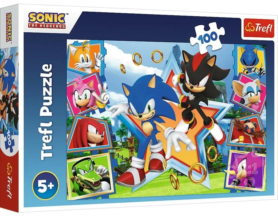 Trefl Puzzle Sonic Seznamte se s ježkem, 100 dílků