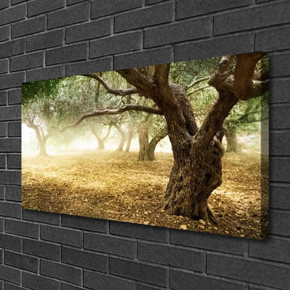 Obraz na plátně Strom Tráva Příroda 100x50 cm