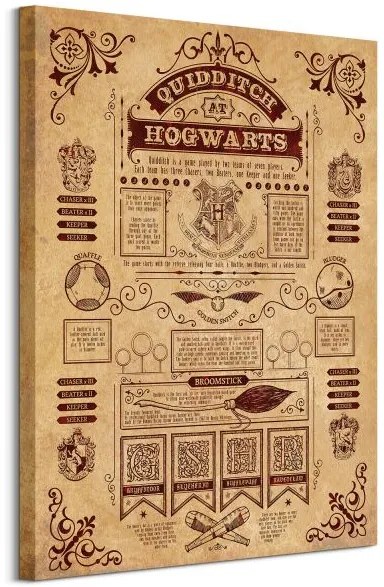 Art Group Obraz na plátně Harry Potter (Quidditch At Hogwarts) 60x80cm