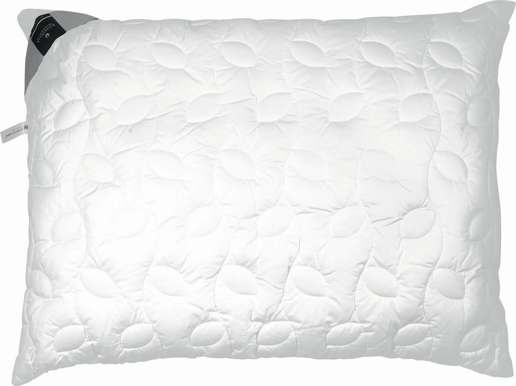 XXXLutz POLŠTÁŘ, 70/90 cm Billerbeck - Polštáře pod hlavu - 003279091901