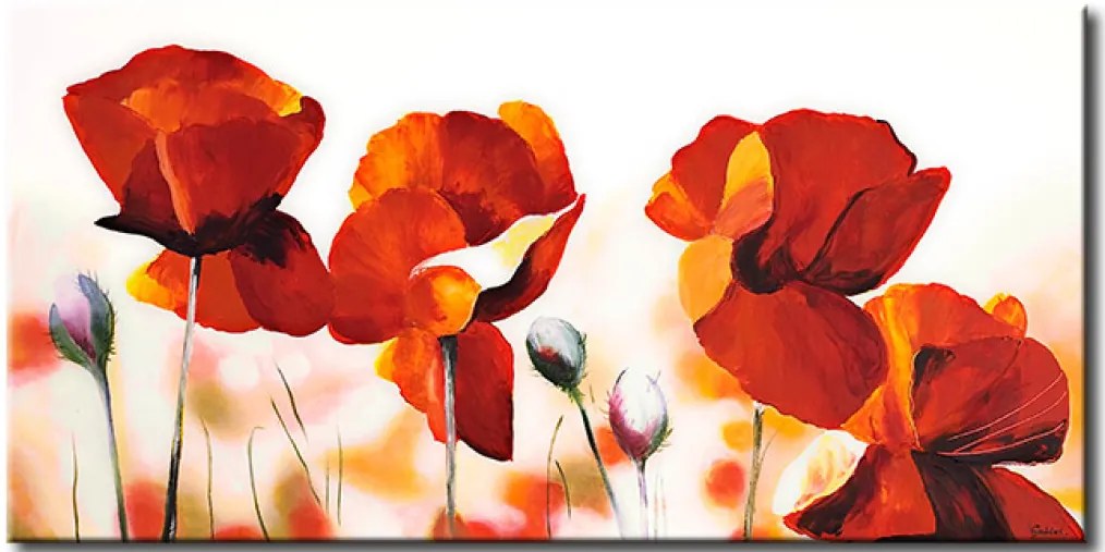 Obraz Maky zblízka (1 díl) - květinový motiv s červenými květy