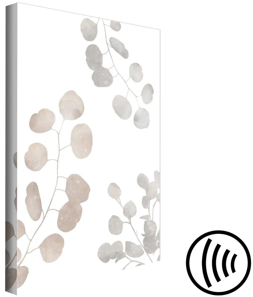 Obraz Kompozice eukalyptu - Listy a větvičky na bílém pozadí