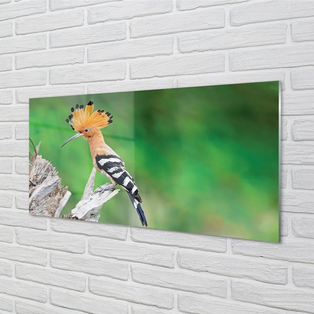 Obraz na skle Strom barevný papoušek 125x50 cm