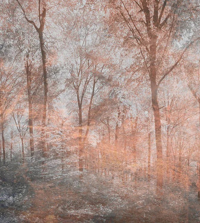 DIMEX | Vliesová fototapeta na zeď Abstrakt barevný les MS-3-0390 | 225 x 250 cm | růžová, vícebarevná