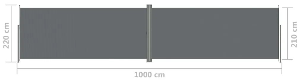 Zatahovací boční markýza antracitová 220 x 1 000 cm,  318050