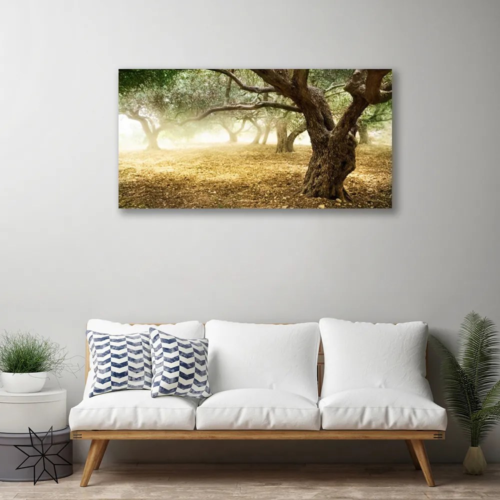 Obraz na plátně Strom Tráva Příroda 100x50 cm