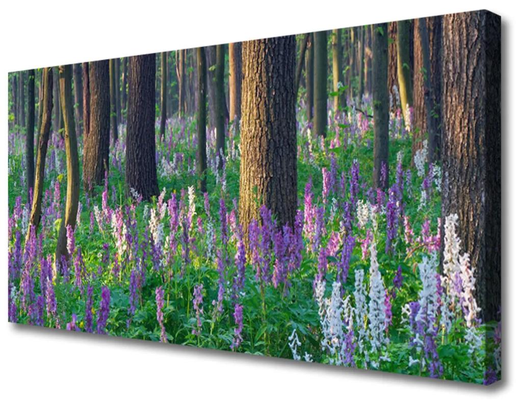 Obraz na plátně Skleněný Les Květiny Příroda