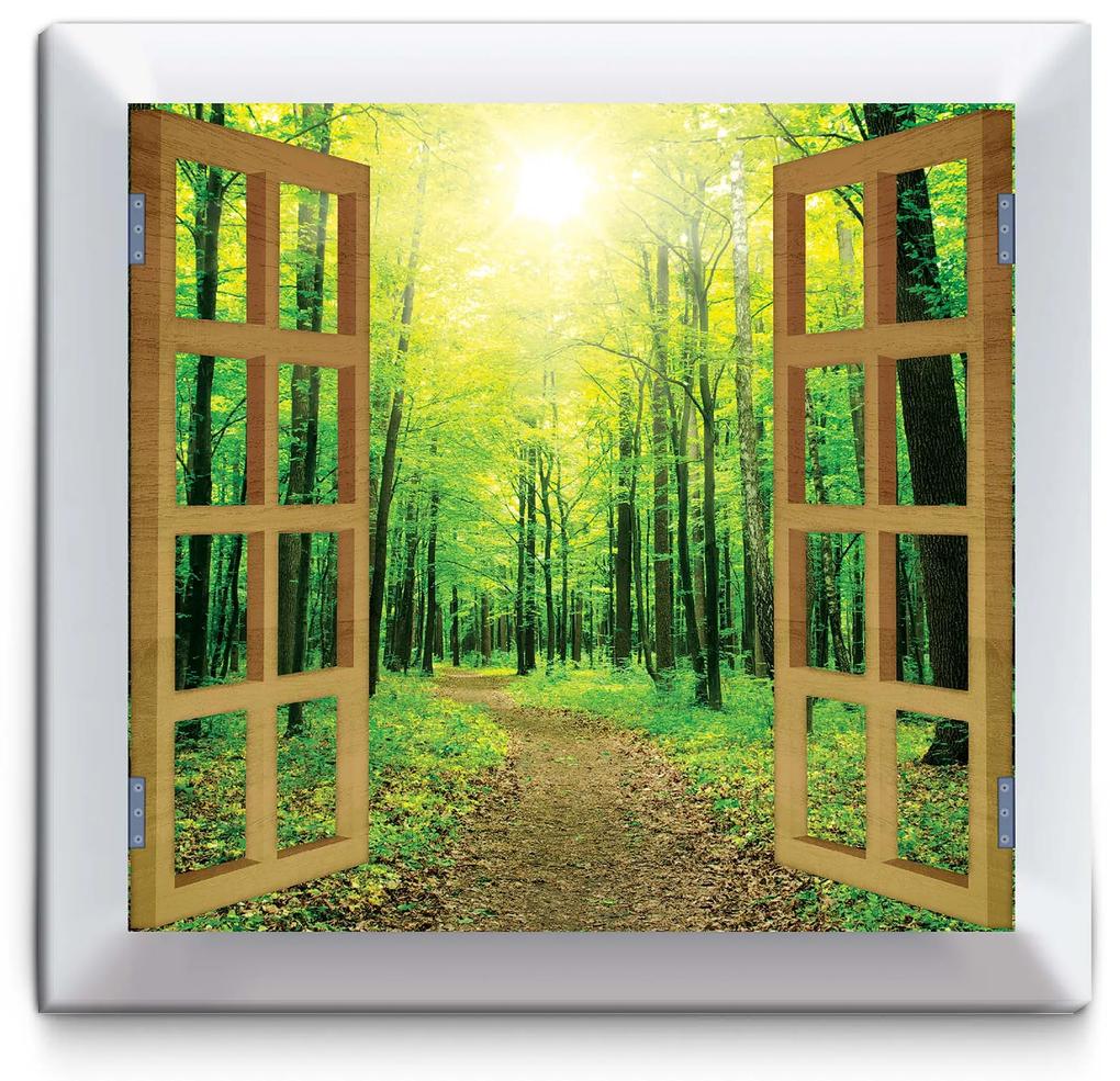 Malvis ® Obraz paprsek v zeleném lese Velikost: 120x110 cm