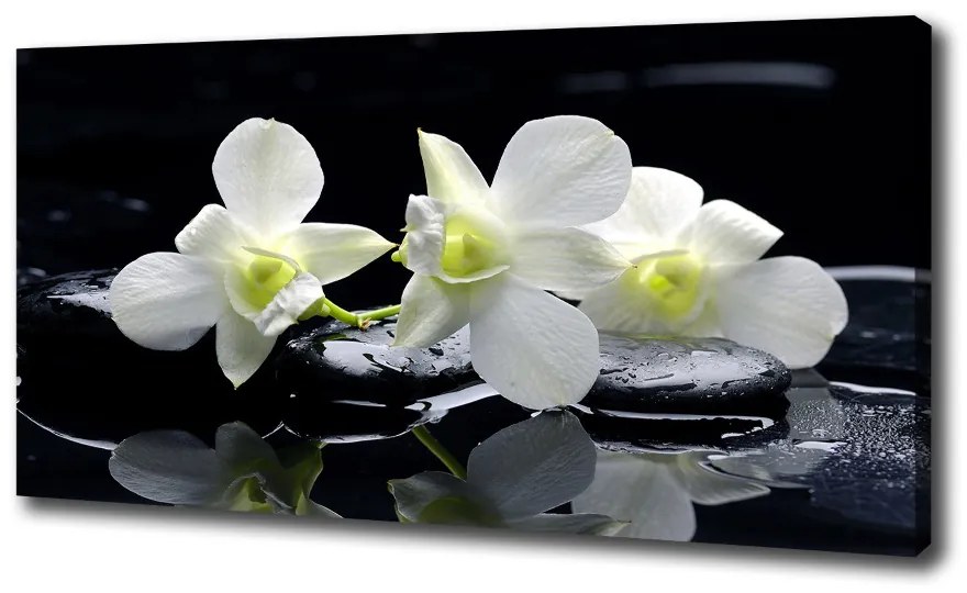 Wallmuralia Foto-obraz canvas do obýváku Orchidej 100x50