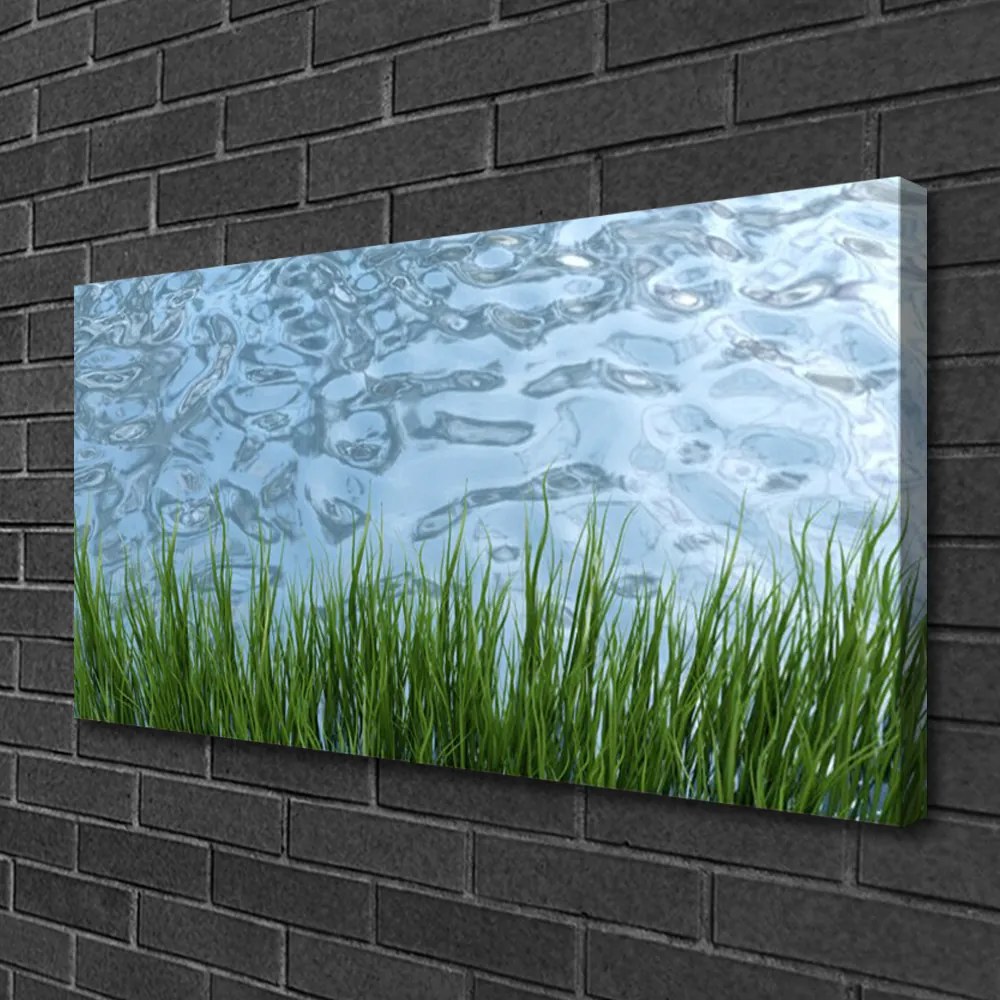 Obraz na plátně Tráva Voda Příroda 140x70 cm