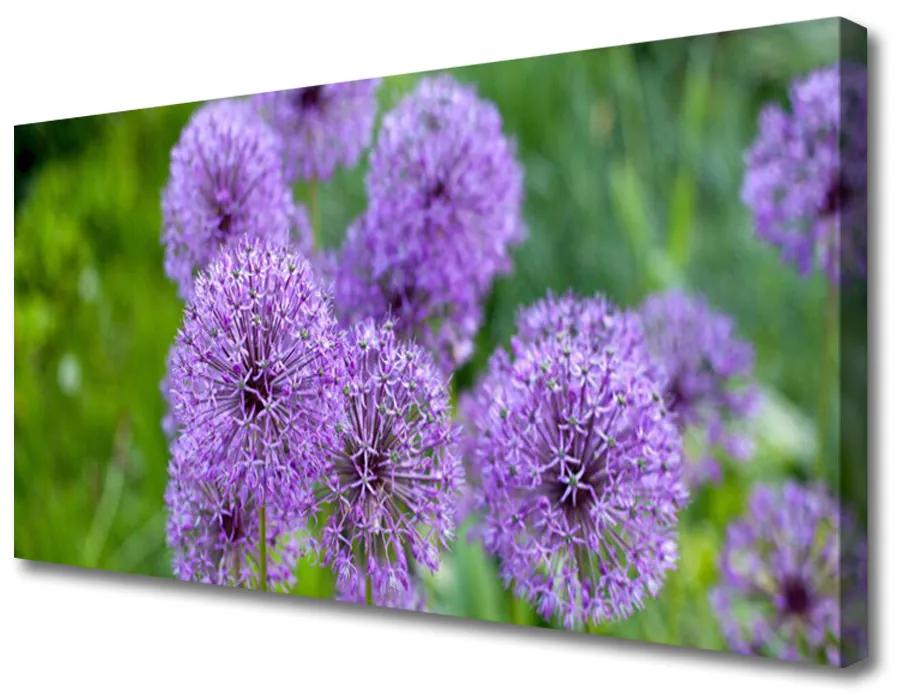 Obraz na plátně Fialové Květiny Louka 100x50 cm