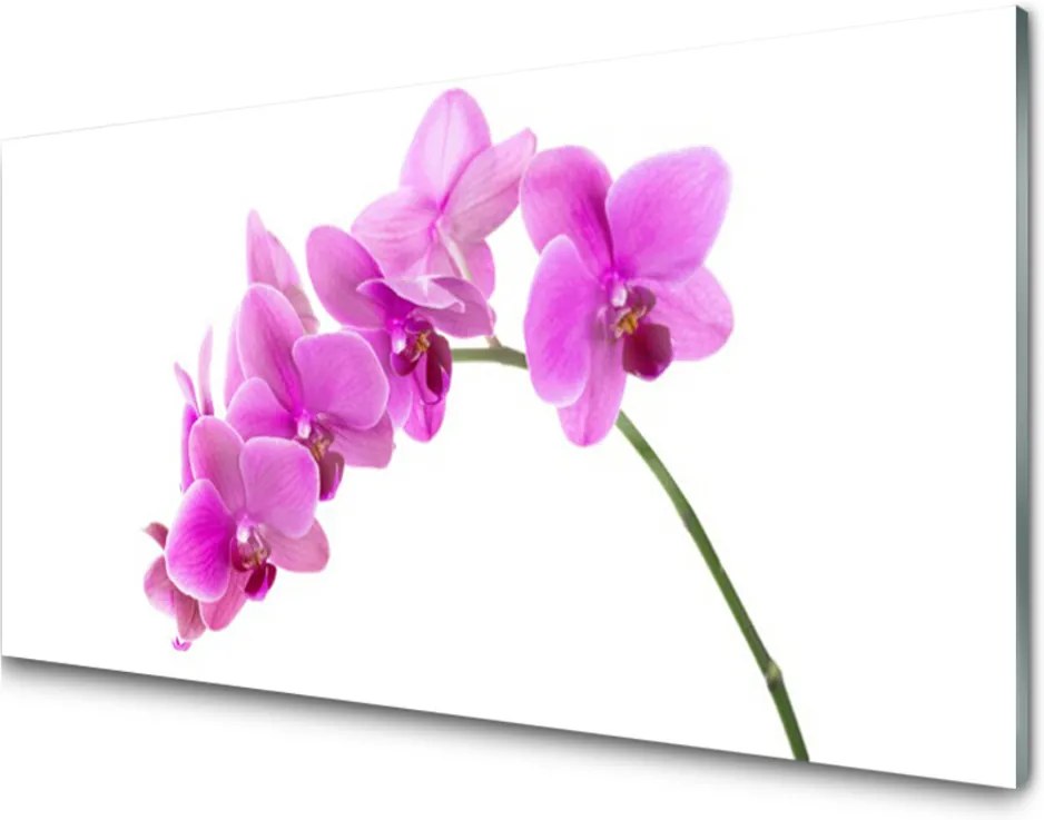 Skleněné obklady do kuchyně Vstavač Květ Orchidej
