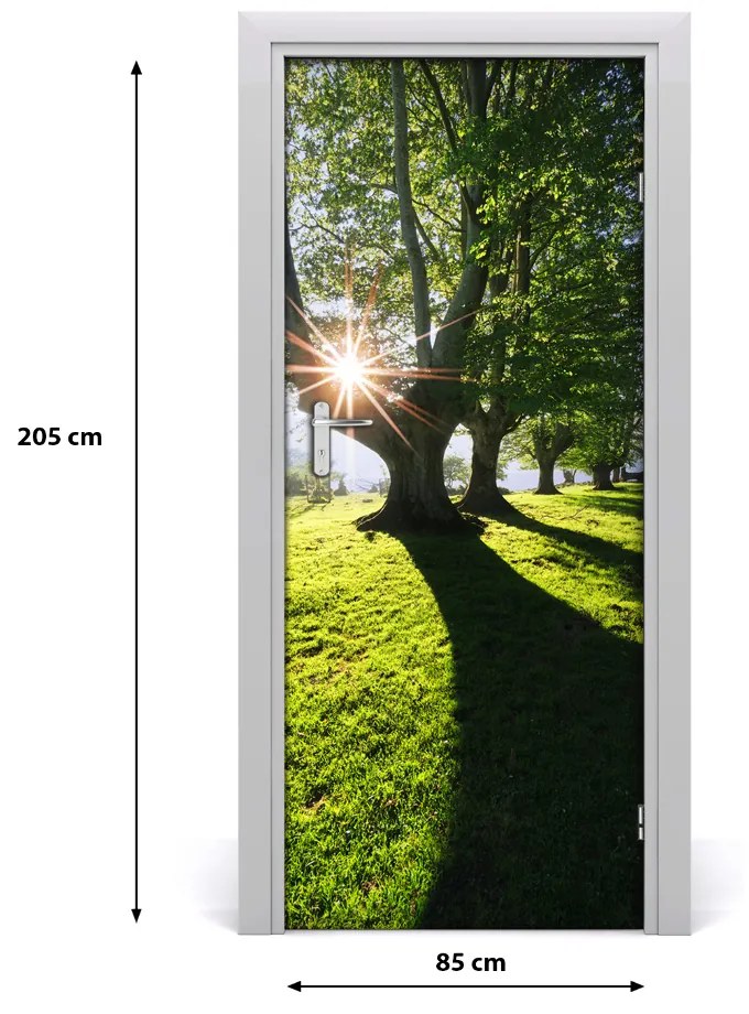 Fototapeta na dveře park 85x205 cm