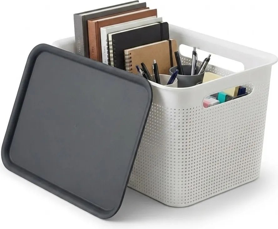 Rotho Úložný box s víkem a s madly BRISEN 16l, 36x26,2x21cm, bílý