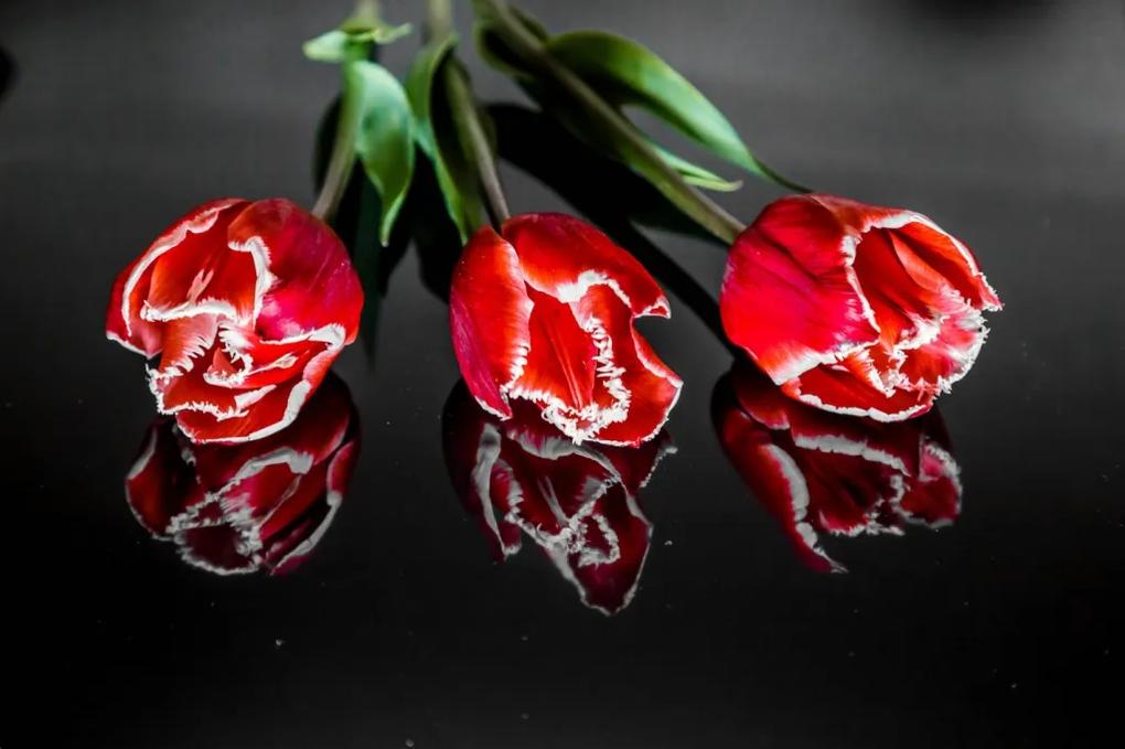 Obraz - červené tulipány (90x60 cm) - InSmile ®