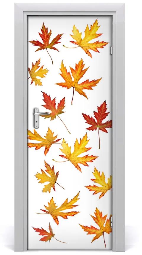 Fototapeta na dveře Podzimní květiny 85x205 cm