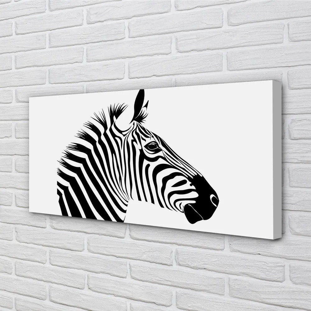 Obrazy na plátně Ilustrace zebra 120x60 cm