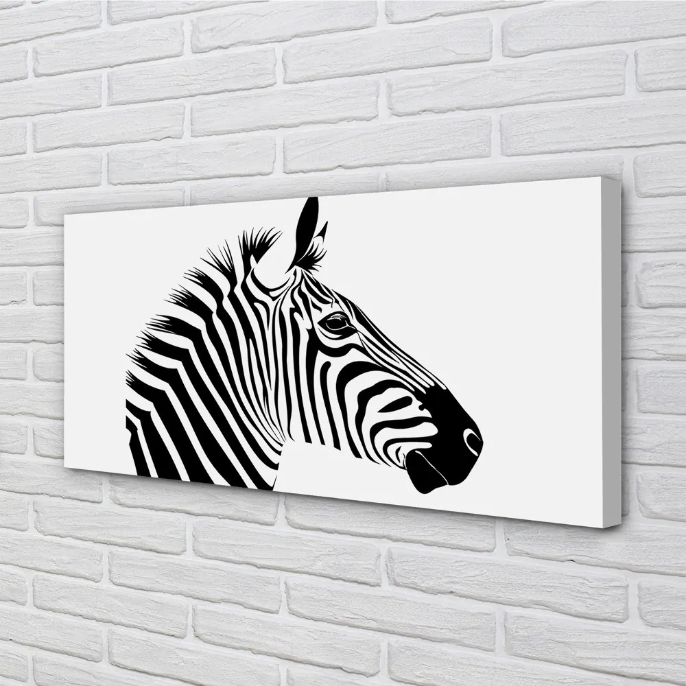 Obrazy na plátně Ilustrace zebra 140x70 cm