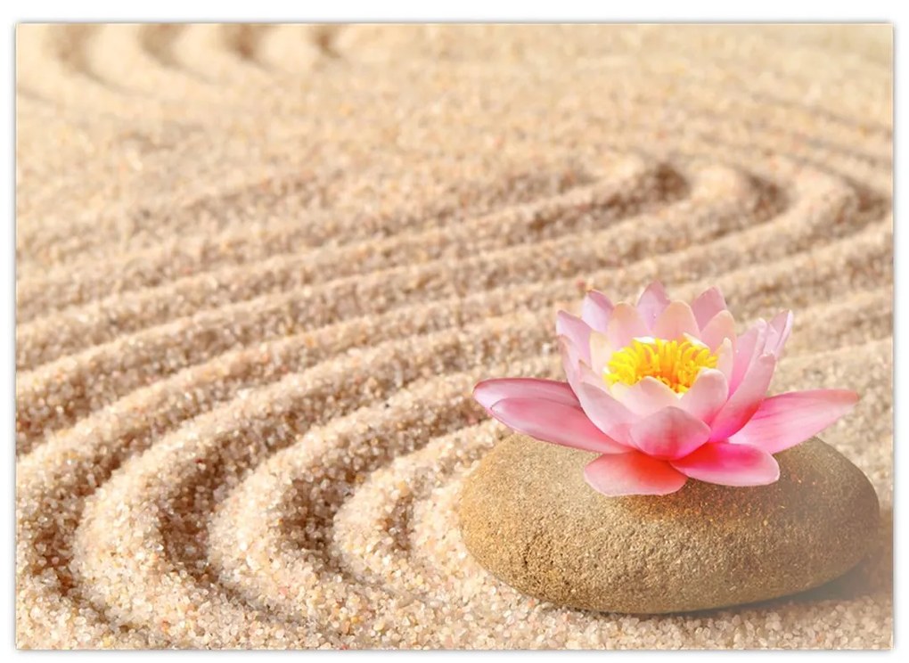 Skleněný obraz kamene s květinou na písku (70x50 cm)