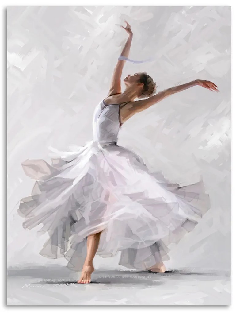 Obraz na plátně DANCE 02 60x80 cm Styler