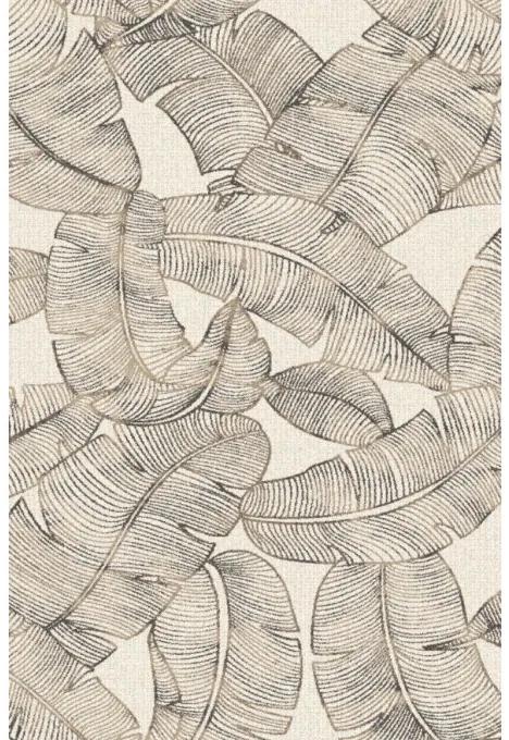 Kusový koberec Feath krémový 300 x 400 cm