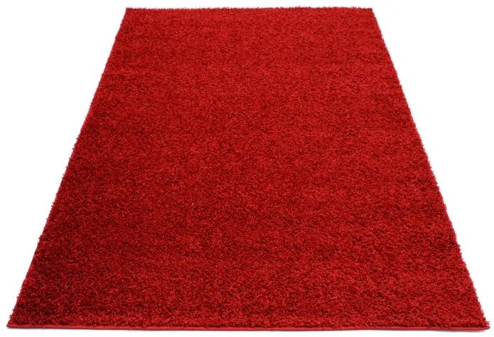 Exkluzivní kusový koberec SHAGGY PORTE-T TK0020 - 80x200 cm