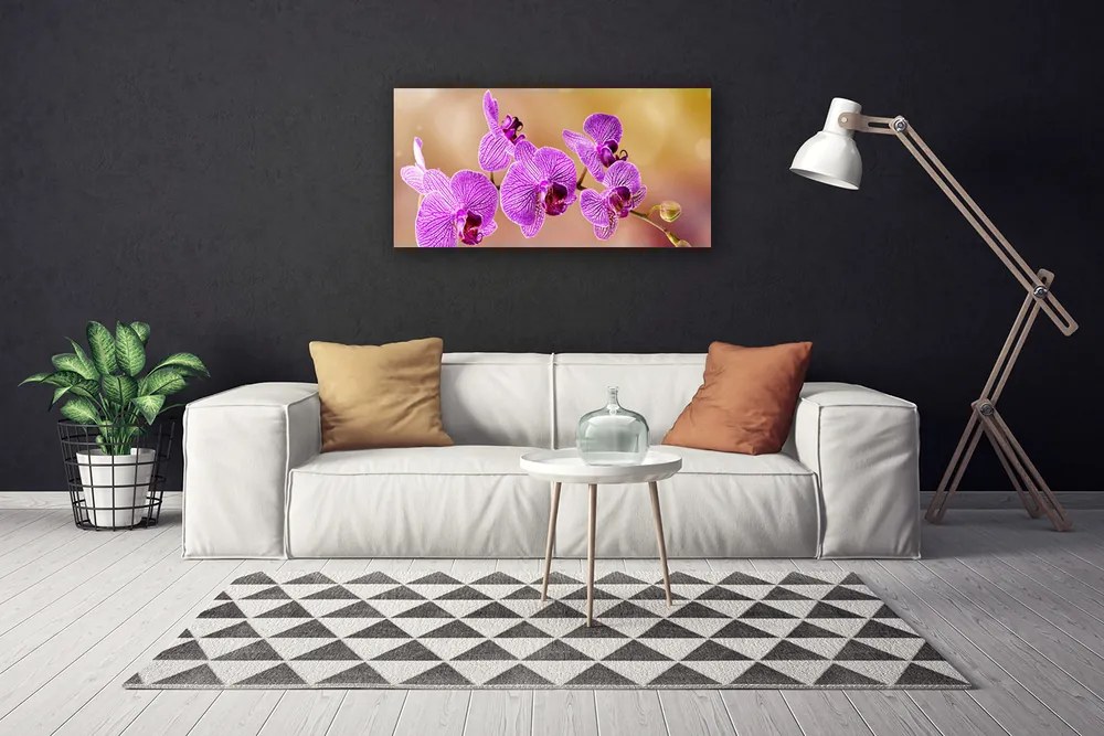 Obraz na plátně Orchidej Výhonky Květiny Příroda 140x70 cm