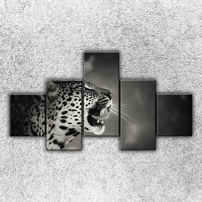 IMPAR Foto na plátno Řev geparda 2 125x70 cm