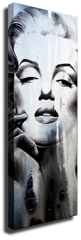 Nástěnný obraz na plátně Marilyn, 30 x 80 cm