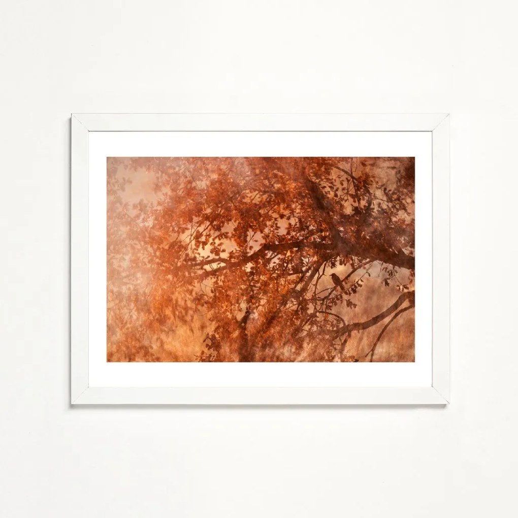 Jiří Hřebíček | Enchanted in Autumn Rám: Černý, Velikost: 30 x 40 cm