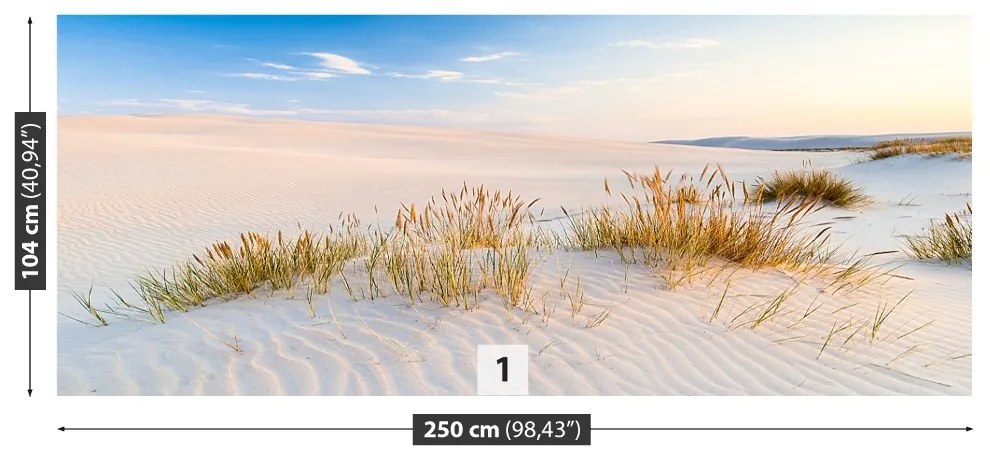Fototapeta Duny moře 104x70