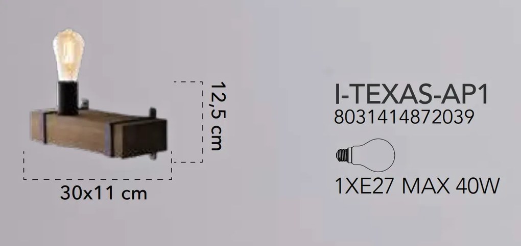 I-TEXAS-AP1