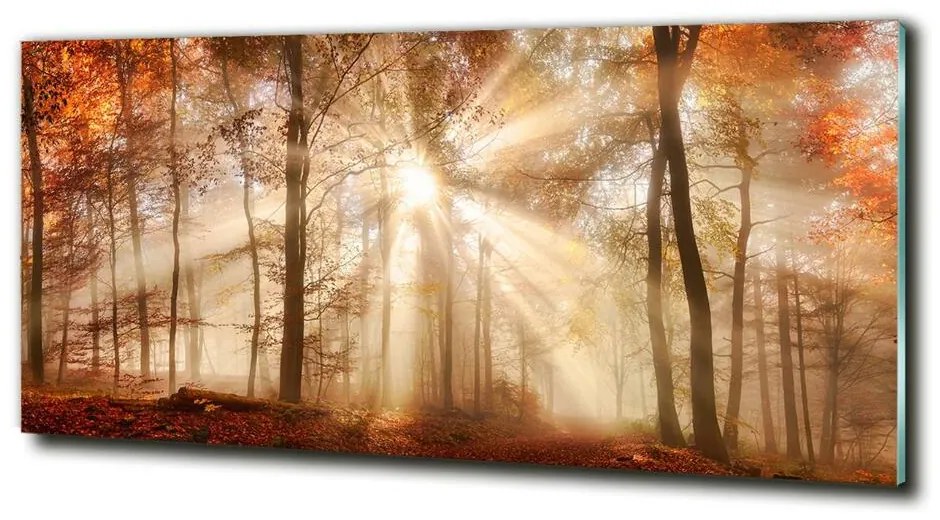 Wallmuralia Foto obraz fotografie na skle Mlha v lese podzim 125x50 cm