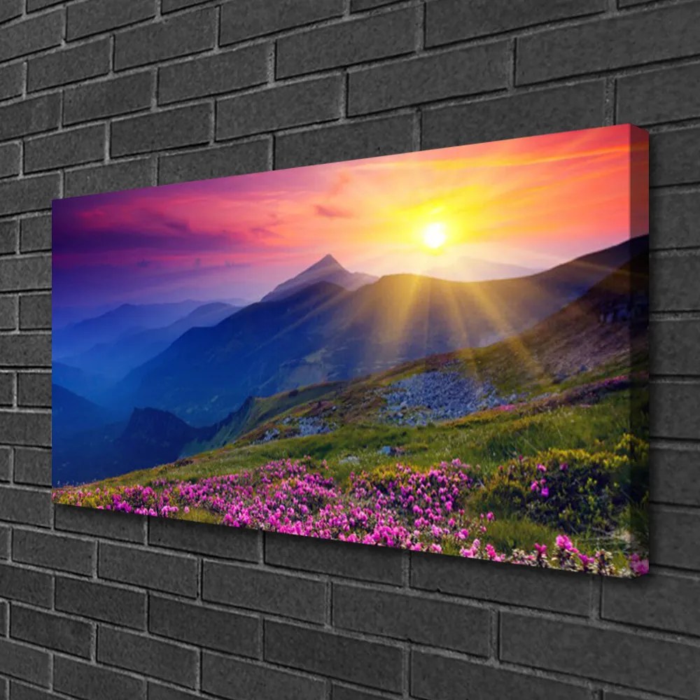 Obraz na plátně Hory Květ Louka Krajina 140x70 cm