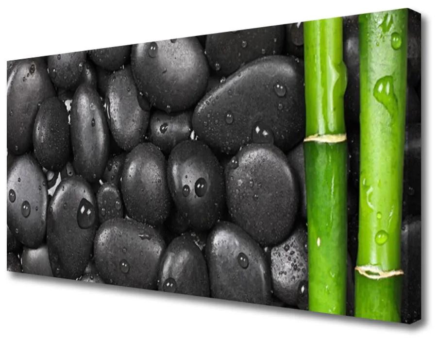 Obraz na plátně Bambus Stonek Kameny 120x60 cm