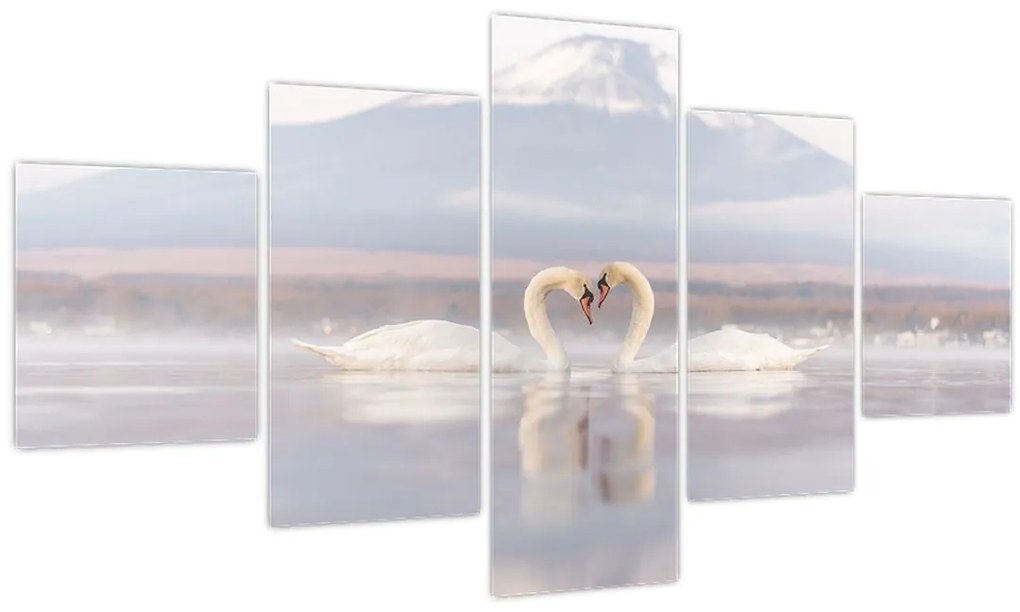 Obraz - Zamilované labutě (125x70 cm)