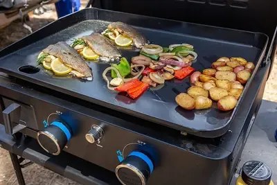 Pit Boss Plynový gril Ultimate Griddle Plancha 2B /PB2BGD2