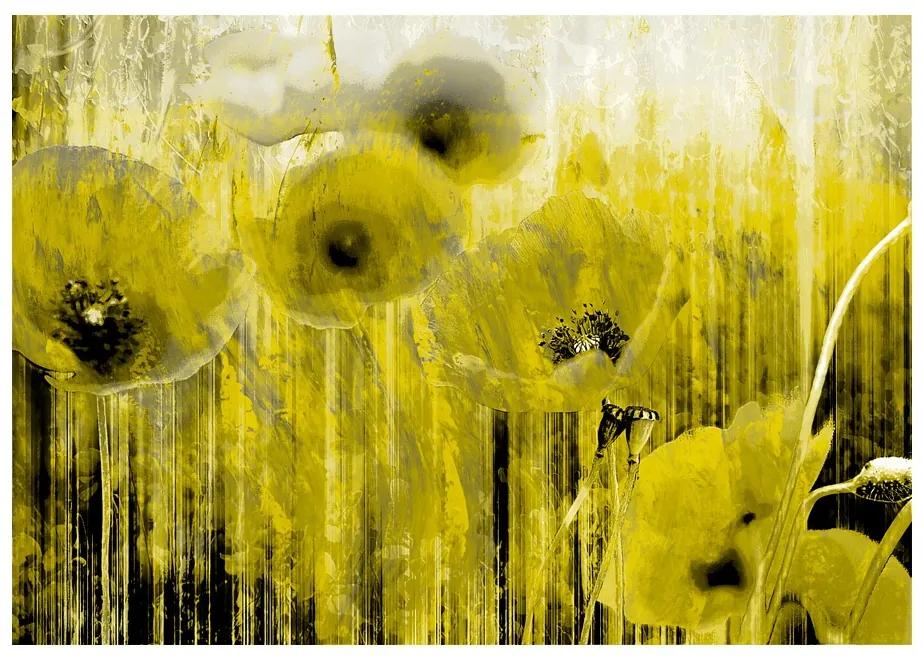 Fototapeta - Yellow madness