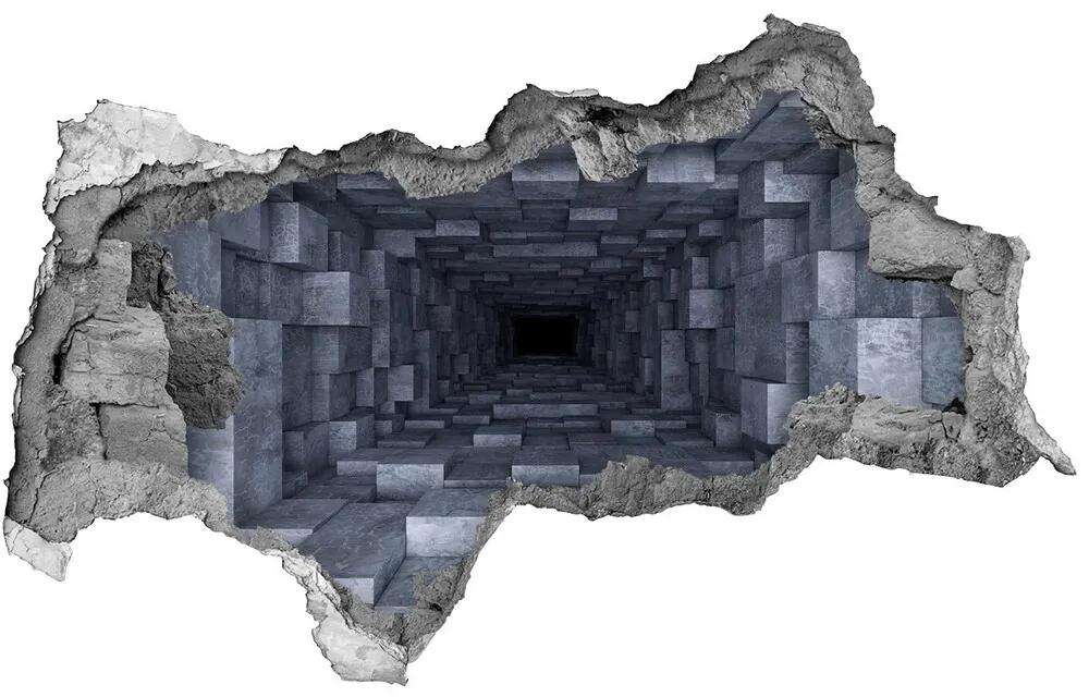 Wallmuralia Díra 3D fototapeta nálepka Tunel 95x73 cm