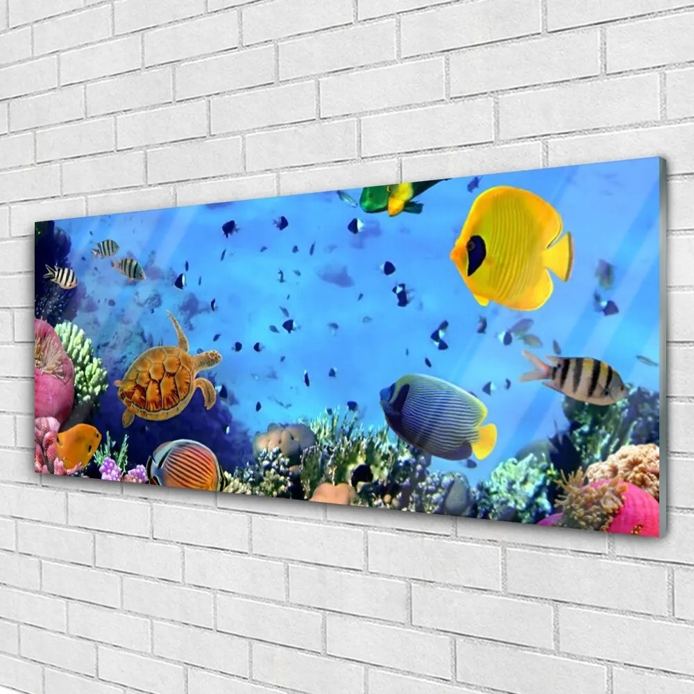 akrylový obraz Korálový Útes Ryba Příroda 125x50 cm
