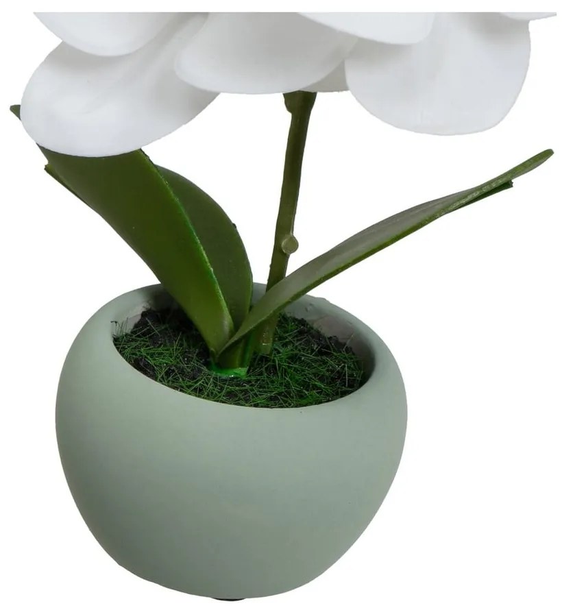 Umělé rostliny v sadě 3 ks (výška 15 cm) Orchid – Casa Selección