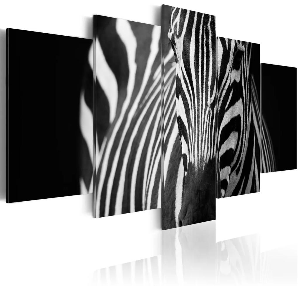 Obraz - Zebra look - 200x100