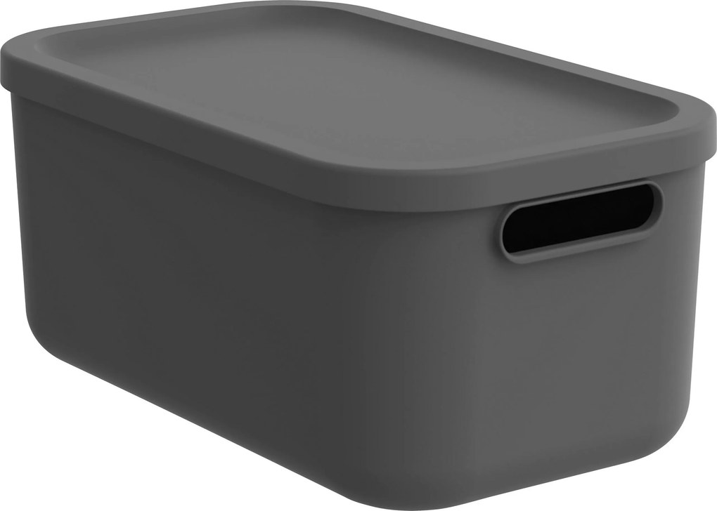 XXXLutz BOX S VÍKEM 12 l Rotho - Stohovatelné boxy - 003294049701