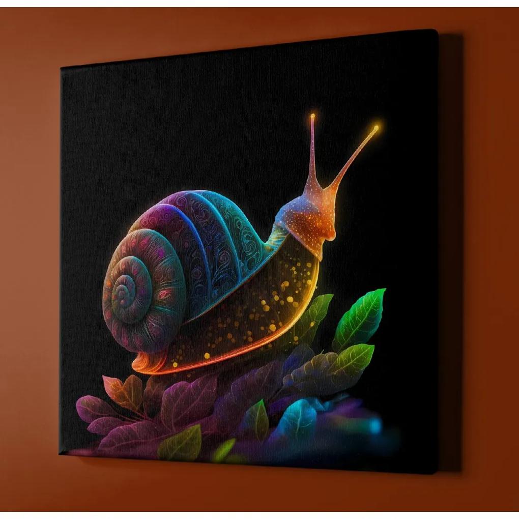 Obraz na plátně - barevný šnek FeelHappy.cz Velikost obrazu: 60 x 60 cm