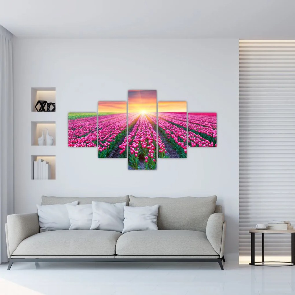 Obraz pole tulipánů se sluncem (125x70 cm)