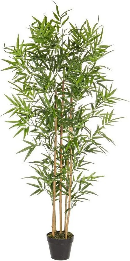 Umělý bambus (výška 155 cm) Bamboo – Bizzotto