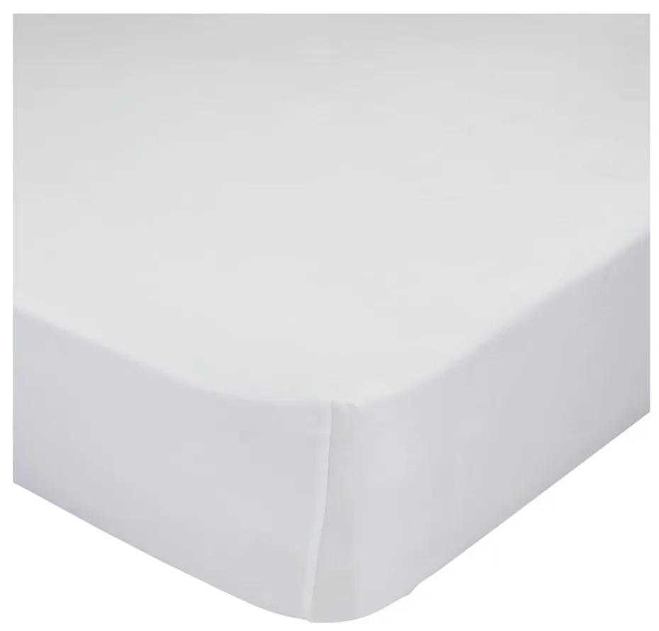 Bílé bavlněné elastické prostěradlo Happy Friday Basic, 70 x 140 cm