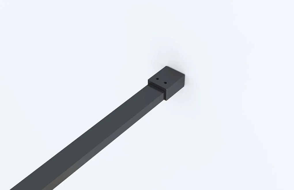 Erga Paris, sprchová zástěna Walk-In 100x200 cm, 8mm čiré sklo, černý profil, ERG-V02-PARIS-100x200-CL-BK
